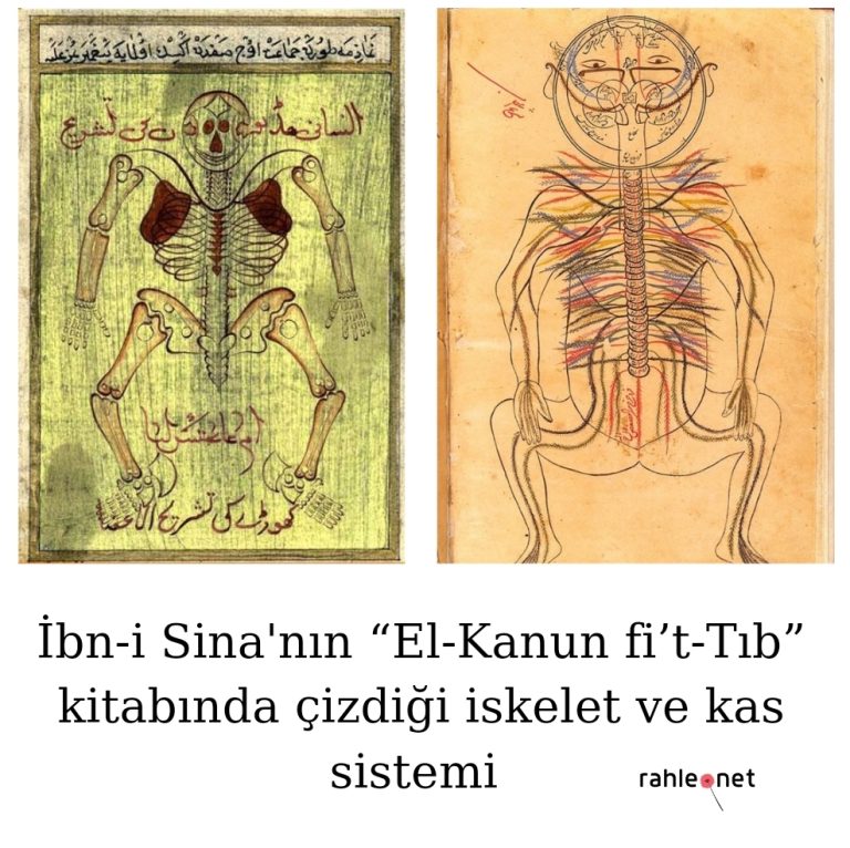 İbn-i Sina'nın Tıp Bilimine Katkıları - Dünya Atlası